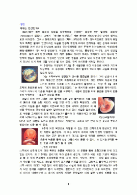 낙태의 이해와 윤리적 문제 및 해결 방안 -1페이지