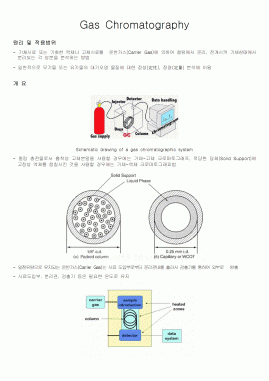 [공학/컴퓨터/통신] 가스크로마토그래피-1페이지