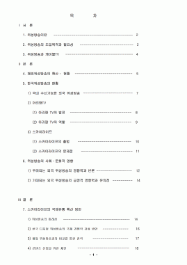 스카이라이프(위성방송)의 국제유통 확산 방안-1페이지