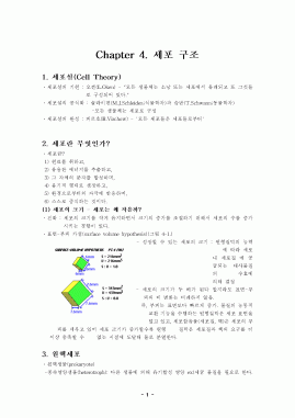 세포 구조-1페이지