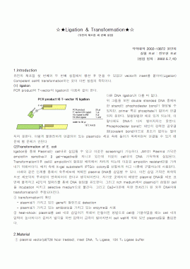 Ligation & Transformation-1페이지