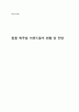 힙합 캐주얼 브랜드들의 현황 및 전망-1페이지