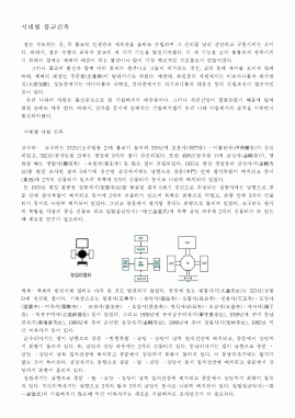 불교건축의 역사-시대별 사찰 건축(고구려~조선,다양한이미지자료)-1페이지