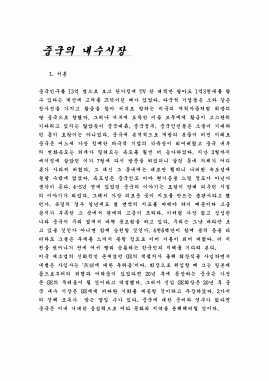 중국 내수시장의 발전-1페이지