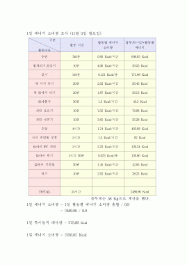 1일 에너지 소비량 조사-1페이지