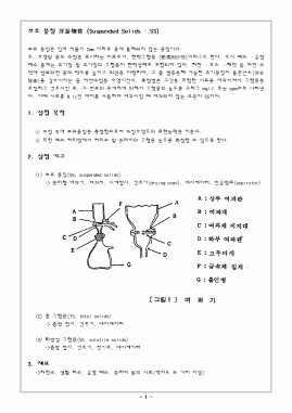 SS 프리 레포트-1페이지