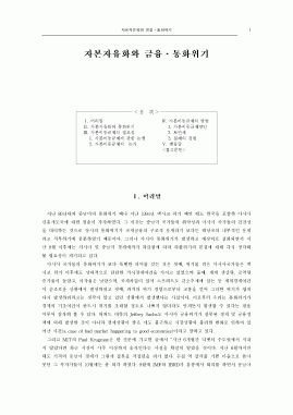 자본자유화와 금융·통화위기-1페이지