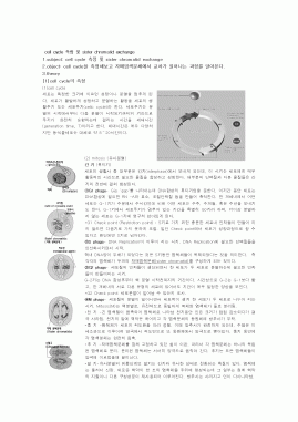 cell cycle 측정 및 sister chromatid exchange-1페이지