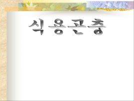 식용곤충-1페이지