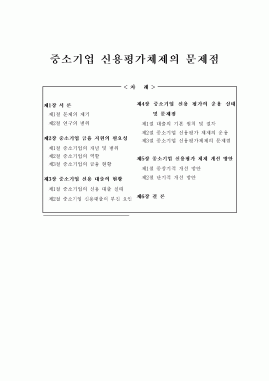 중소기업 신용평가체제의 문제점-1페이지