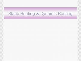 Static Routing & Dynamic Routing & Distance Vector Routing Protocol-1페이지