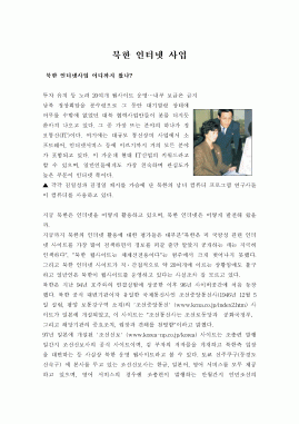 북한 인터넷 사업-1페이지