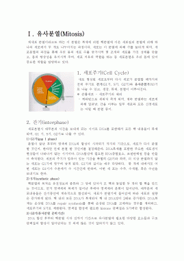 체세포분열과 감수분열-1페이지