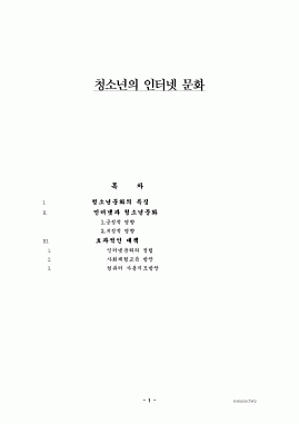 [인문과학] 청소년의 인터넷 문화-1페이지