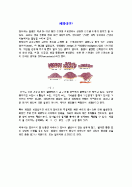 폐암과 흡연(다양한그림자료포함)-1페이지