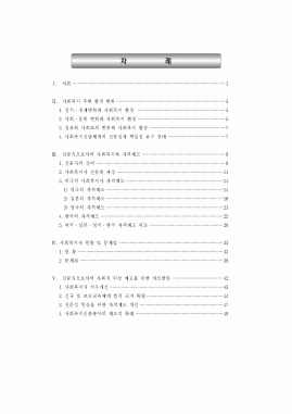 사회복지사의 발전적 방안에 대한 제도 연구-1페이지