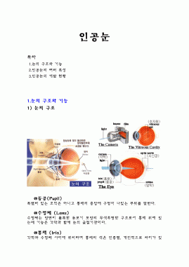 눈의 구조와 기능 및 인공눈의 여러 특성 개발현황-1페이지