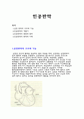 인공판막-1페이지