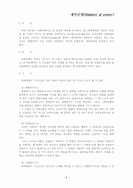 국제 정치에서 세력균형-1페이지