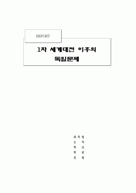 1차 세계대전 이후의 독일문제 - 전후처리과정에서의 히틀러의 등장배경-1페이지