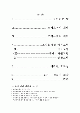 학교 효과성 및 질적 관리-우리의 대학종합평가-1페이지