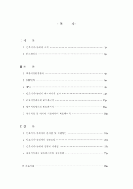 국제경영 `버드와이저` 의 성공사례-1페이지