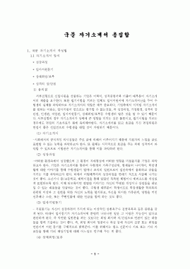 국문 자기소개서 예문-1페이지