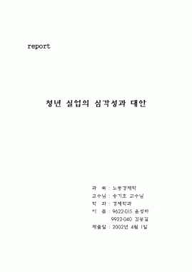 청년 실업의 문제점과 방안-1페이지