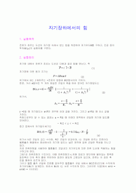 전류 실험보고서-1페이지