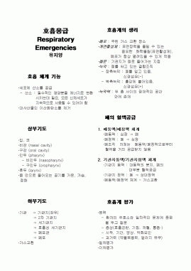 Respiratory Emergencies에 관한 정리-1페이지