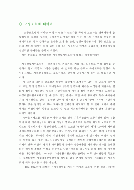 모성보호법에 대한 실체적 접근과 비교분석-1페이지