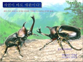 인터넷 쇼핑몰 창업준비-1페이지