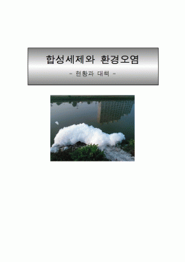 합성세제와 환경오염 - 현황, 처리, 대책-1페이지