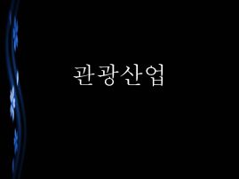 관광산업-1페이지