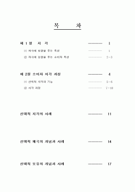 소비자 지각에 대하여-1페이지