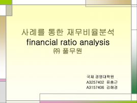 finacial ratio analysis, 재무비율 분석-1페이지