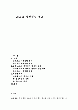   스포츠 마케팅의 개요-1페이지