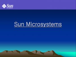 썬 Sun Microsystems 분석-1페이지