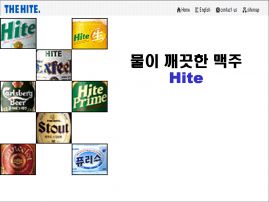 [사회과학] 하이트 맥주 기업분석-1페이지