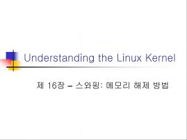 Understanding the Linux Kernel (제 16장 – 스와핑: 메모리 해제 방법)-1페이지