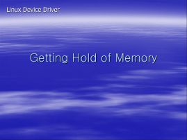 Getting Hold of Memory-1페이지