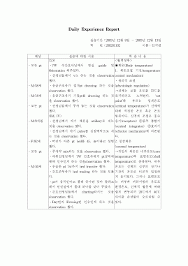 Daily Experience Report-1페이지