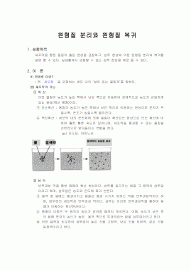 [예비레포트]원형질 분리와 복귀-1페이지