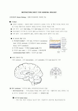 신경생물학-인체자각장치의 구성과 기능-1페이지