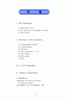 DNA특징과 Replication ,Enzymes ,E. coli,Fidelity의 이해-1페이지