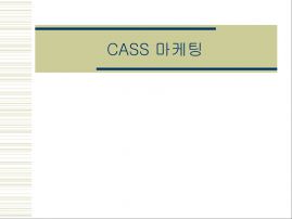 CASS 마케팅 분석-1페이지