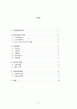 사업계획서 -중국--1페이지