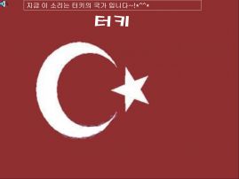 터키에 관한 완전 분석-사회,경제,문화 및 정치-1페이지