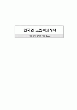 [복지사회] 한국의 노인복지 정책 -1페이지