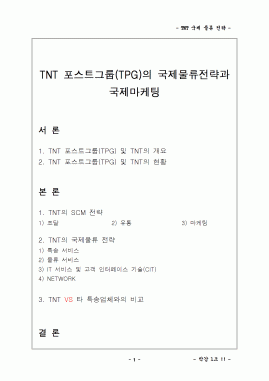 TNT 포스트그룹(TPG)의 국제물류전략과 국제마케팅-1페이지